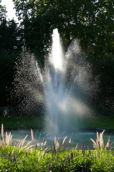 Waterbeelden -- Fontein in de botanische tuin van Frankfurt